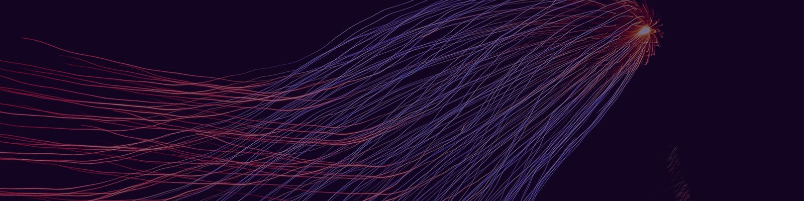 Price & Plans - Digi Biz Solutions